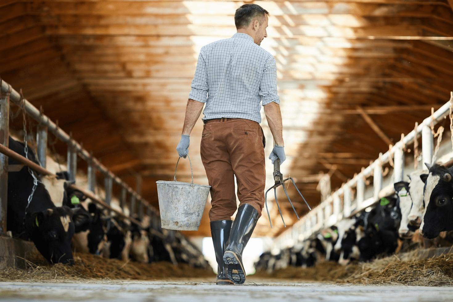 What is Dairy Farming and how to use this know more...