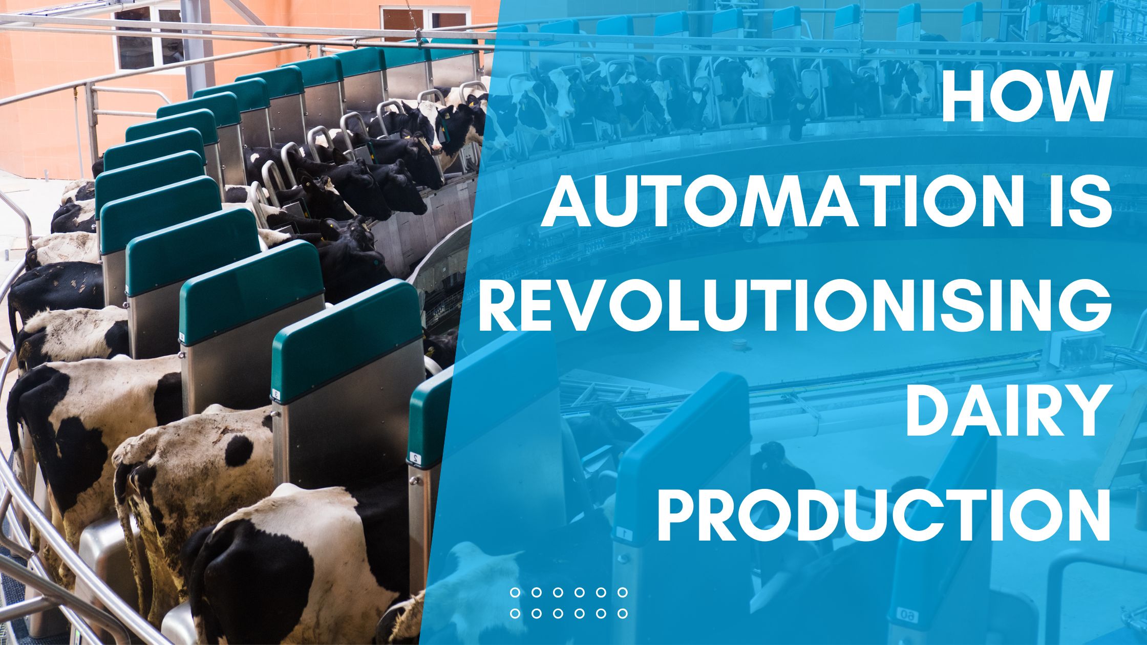 How Automation Is Revolutionising Dairy Production Delmer India